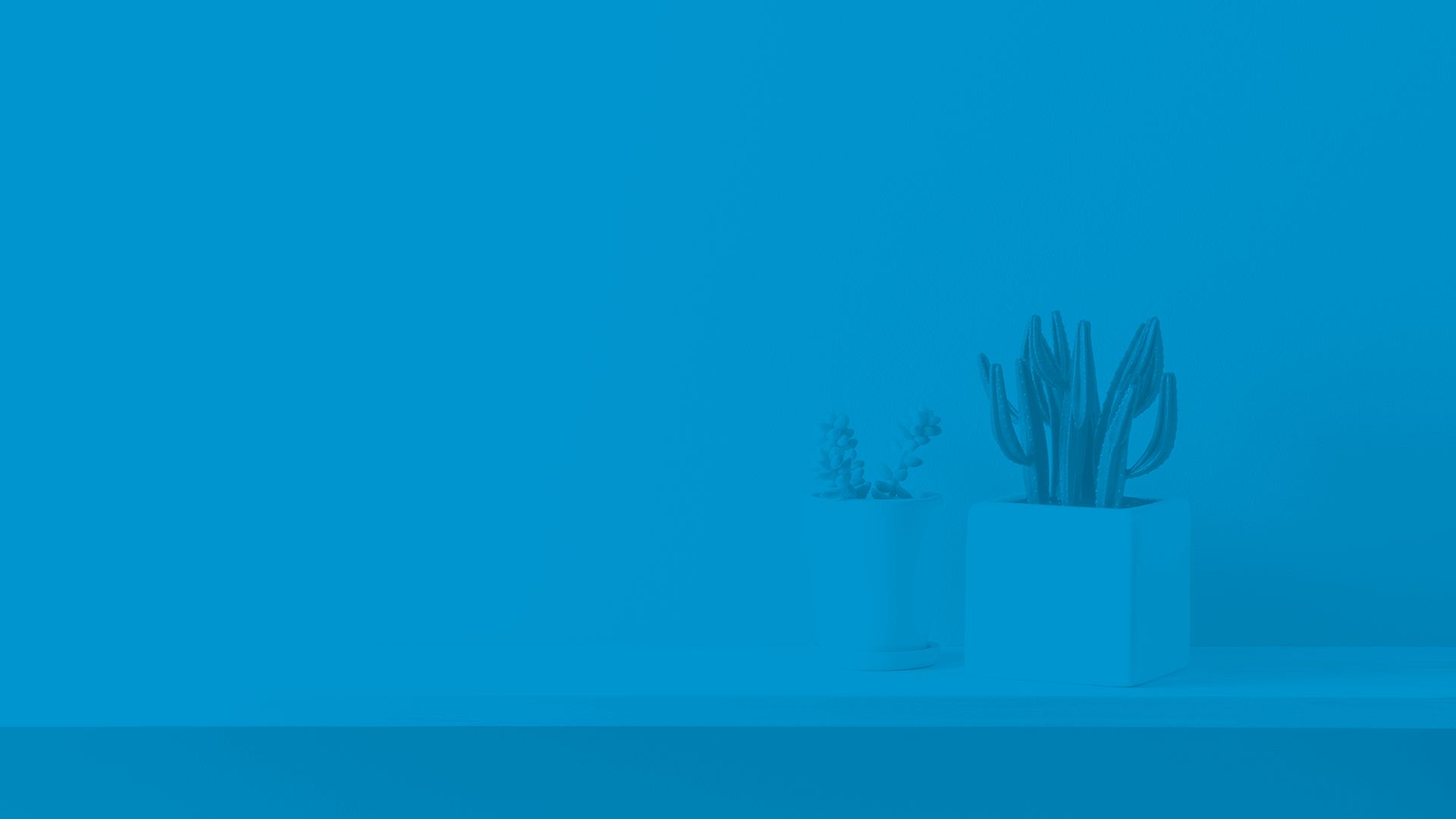 Main Home - KUBO Studio